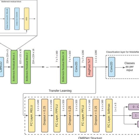Transfer Learning On Mobilenetv2 [49] And Our Proposed Model Download Scientific Diagram