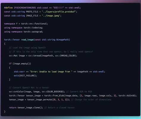 roland daynauth on linkedin load an image and convert it to a libtorch tensor
