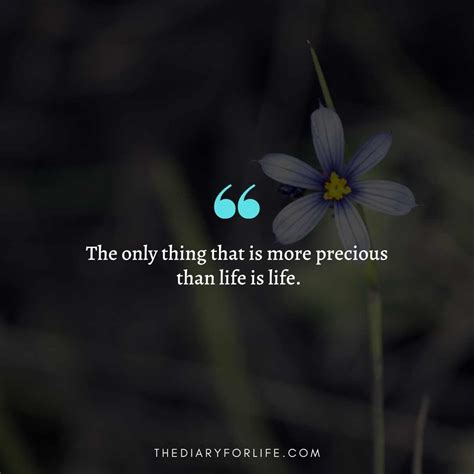 50 Life Is Precious Quotes To Celebrate Each Moment