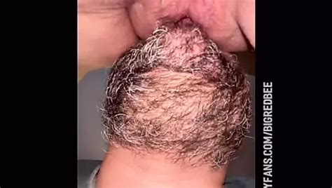 Big Red Honeybee Porn Videos Sex Model Nudes XHamster