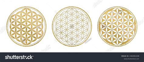 Golden Flower Life Symbol Three Variations Stock Photo Shutterstock