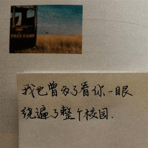 最会装傻的5大星座，其实很聪明！低调金牛座十二生肖