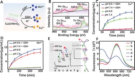 A Schematic Illustration Of Cuo Mno2 Nanosheets Degradation B Xps