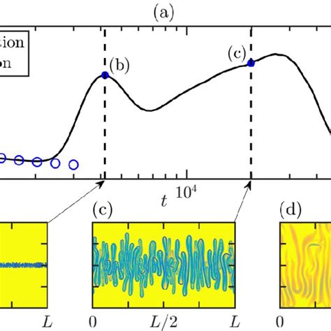 Time Evolution Of The Rt System Characterized By Ra 0 12023 A Mean