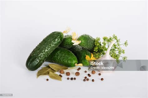 노란 꽃 마늘 베이 리프 딜 향신료를 흰색 배경에 새하얀 오이 0명에 대한 스톡 사진 및 기타 이미지 0명 개념 개념과