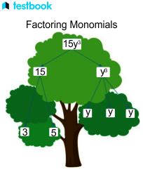 Monomial Definition Degree How To Find A Monomial Examples