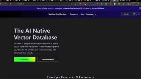 Nestjs Nextjs Vectoredatabase Smallprojects Picturesearch Technology Mohamed Harbouli
