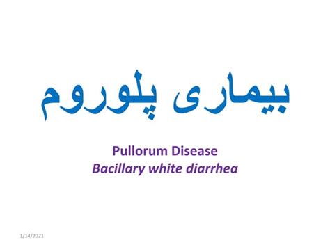 Pullorum Disease Ppt