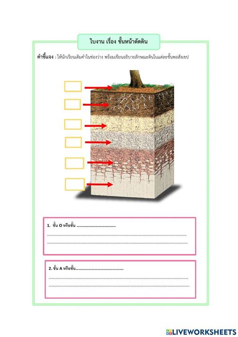 ใบงาน เรื่อง ชั้นหน้าตัดดิน Online Exercise For Live Worksheets