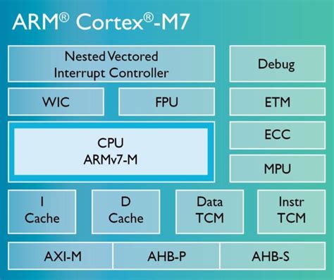 ARM Cortex M Digital Signal Processing Drives Family Evolution Berkeley Design Technology Inc