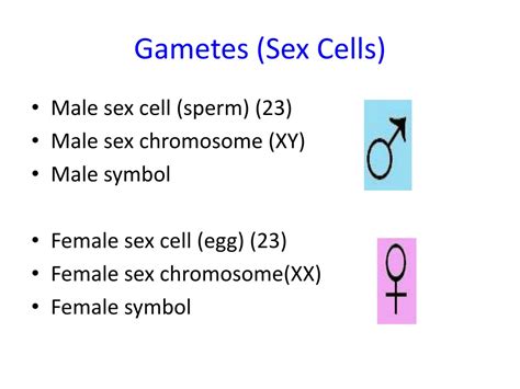 PPT Cell Growth And Reproduction PowerPoint Presentation Free Download ID 9382525