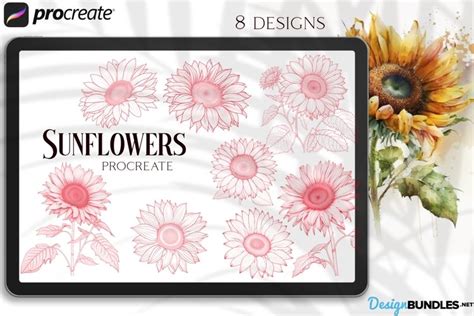 Procreate Sunflower Designs