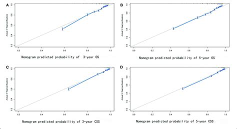 External Verification Plots Of 3 Year A And 5 Year B Overall Download Scientific Diagram