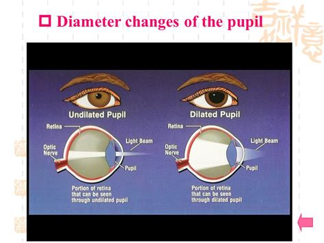 Diameter Of Pupil