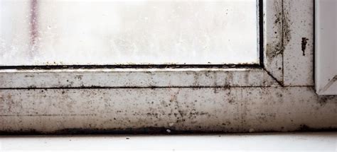 How To Clean UPVC Window Frames And Sills FS Blog