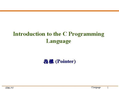 Introduction To The C Programming Language Pointer Csim