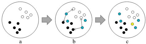 entropy free full text tri training algorithm for adaptive nearest