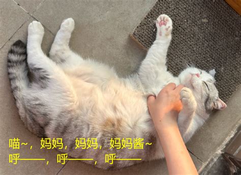 [html]web前端开发技术5 2（html5、css3、javascript ）css基础，decoration，selector