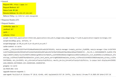 Proxy Reverso O que é Para que Por que Quando Quem gaGO io