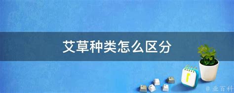 艾草种类怎么区分 业百科