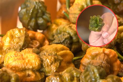 To Najostrzejsza Papryczka Na świecie Nie Wypala Gardła Tylko Cały Organizm