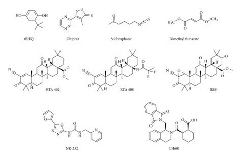 Chemical Structure Of Typical Nrf2 Activators Download Scientific Diagram