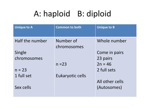 Ppt A Haploid B Diploid Powerpoint Presentation Free Download Id