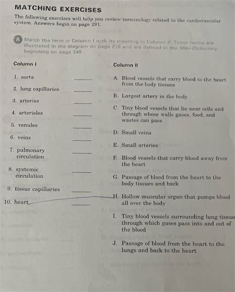 Solved Matching Exercises The Following Exercises Will Help You