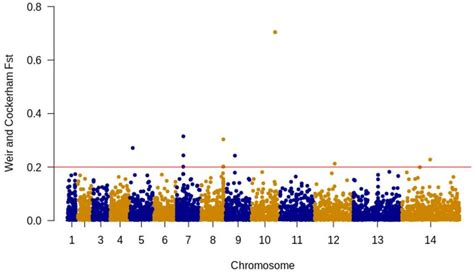 Manhattan Plot Of Genome Wide Fst Values For Differentiation Between