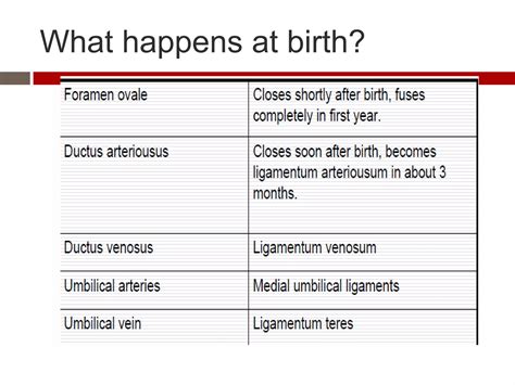Normal Fetal Circulation Pptx