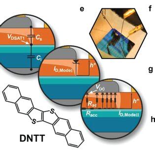 Crosssection Schematics Of Organic Sourcegated Transistors OSGTs Download Scientific