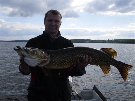 Zandertipp - - Småland - Stockaryd: Rusken | Fisch Hitparade Forum