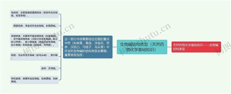 生物碱结构类型（天然药物化学基础知识）思维导图编号p7439669 Treemind树图