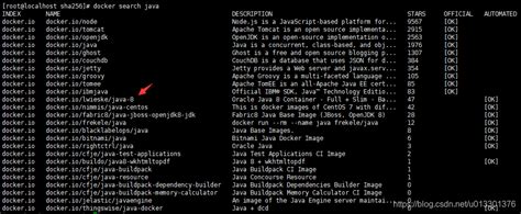 Docker拉取使用java环境docker中拉取java8的镜像 Csdn博客