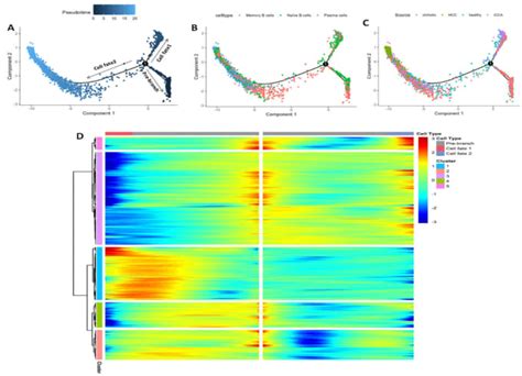 analyze single cell rna sequencing data scrna seq by biofreelanceuh