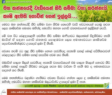 1 මහ කන්නයේදී වැඩියෙන් කීරි සම්බා වගා කරන්නැයි කෘෂි ඇමති ගොවීන්ගෙන් ඉල්ලයි
