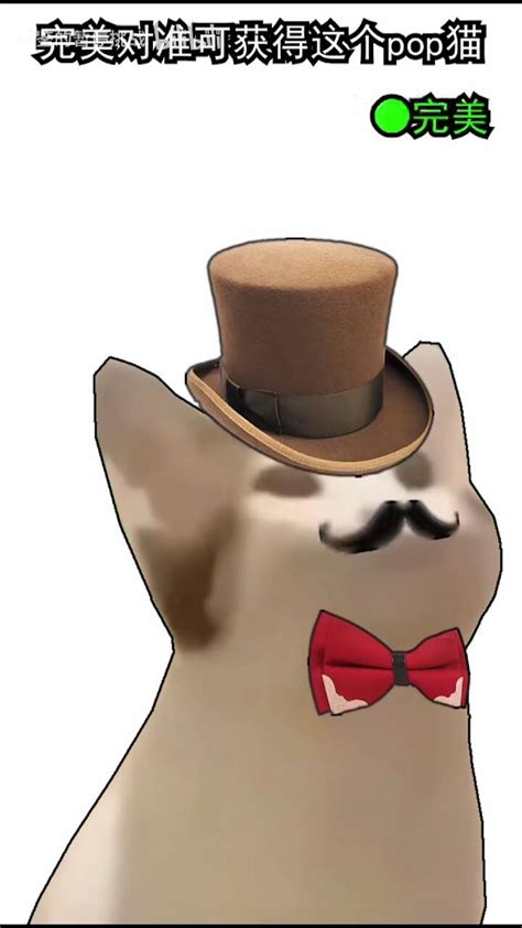 pop猫找不到他的衣服了你能帮帮他吗 哔哩哔哩