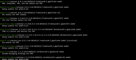Cara Terbaru Install Php 8 Di Debian 10 Jaranguda