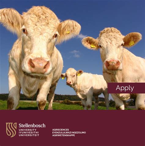 Mathew Oluwaseyi Ayoola Phd Ras On Linkedin Maties