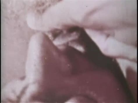 Wrap Your Lips Around My Dick Streaming Video On Demand Adult Empire