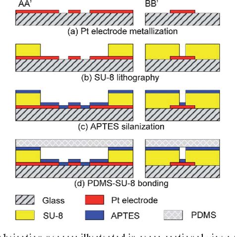 Figure 2 From Microfluidic Single Cell Cultivation Chip With Controllable Immobilization And