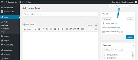How To Display Excerpts On Wordpress Homepage Ppwp