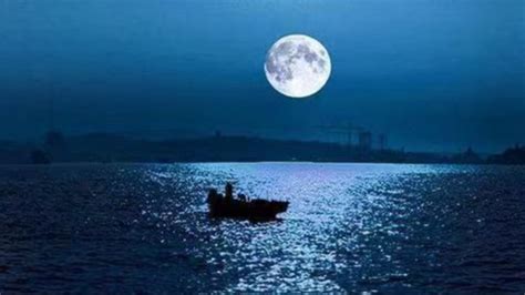 赏读唐诗人张若虚《春江花月夜》感作 科星球 百度百科