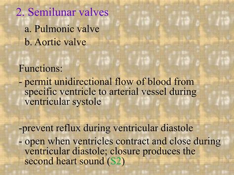 Cardic System Introduction Ppt