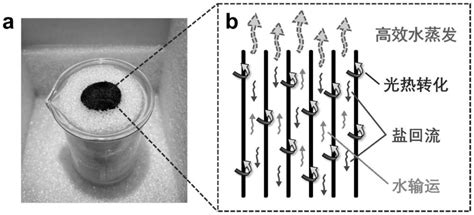 一种基于光伏晶硅废料的太阳能水蒸发器及其制备方法和应用