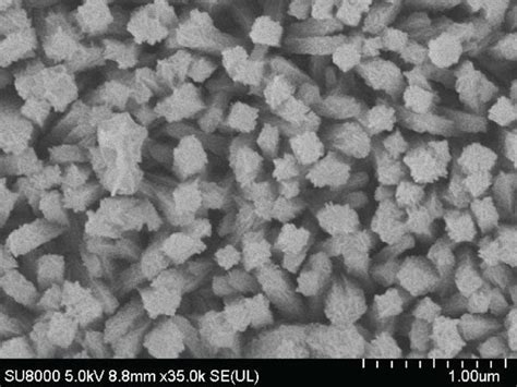 SEM Images Of TiO Nanorods A B Prepared By The High Temperature Download Scientific Diagram
