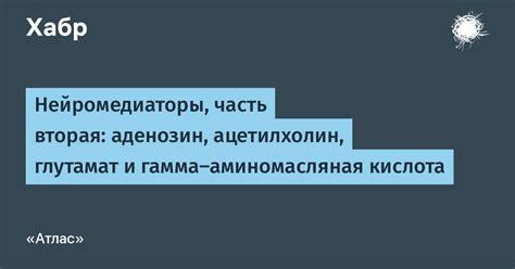 Нейромедиаторы, часть вторая: аденозин, ацетилхолин, глутамат и гамма ...
