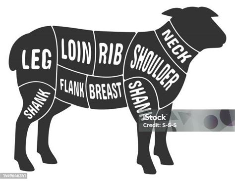양고기 절단 계획 흰색으로 분리된 정육점 검은색 다이어그램 가축에 대한 스톡 벡터 아트 및 기타 이미지 가축 고기 농장