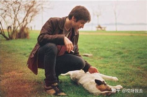 狗狗总是呜呜叫，其实它想告诉你这几件事 知乎