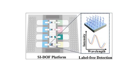 Self Interference Digital Optofluidic Genotyping For Integrated And